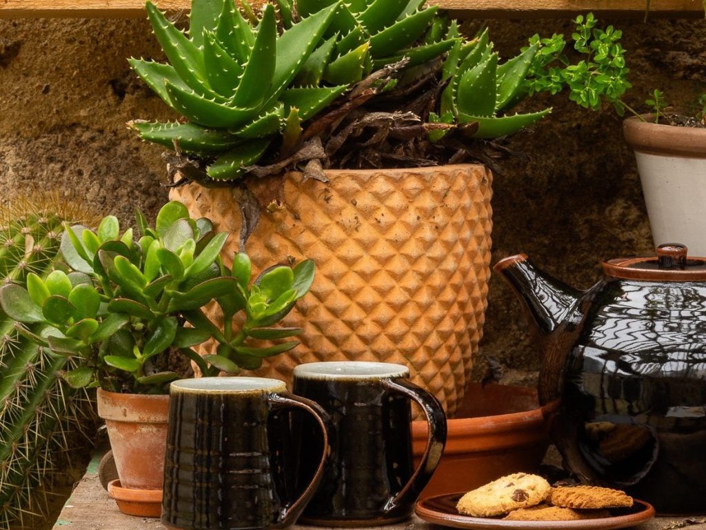 The Leach Pottery marks the end of 2023 – The latest news from Leach ...